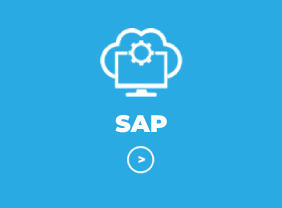 Votre partenaire en expertise SAP - Streamlink